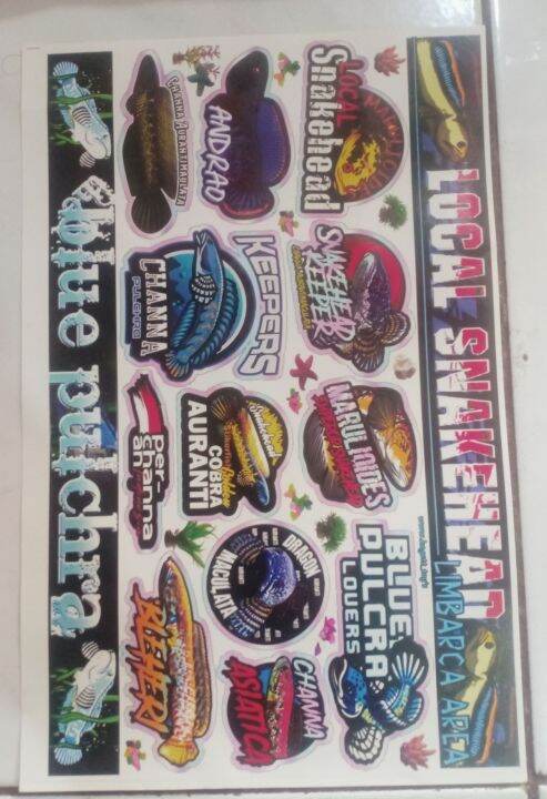 1 lembar stiker tempel ikan channa | Lazada Indonesia