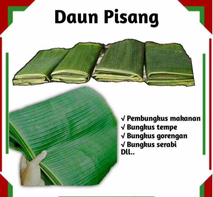 Ready Daun Pisang Penmbungkus Makanan Tradisional per 1Ikat | Lazada ...