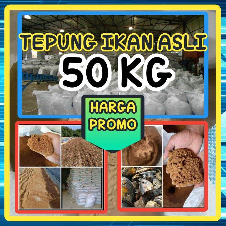 Tepung ikan protein tinggi 45% - 50 % 1 sak 50 kg // tepung ikan pakan ternak 50 kg | Lazada ...