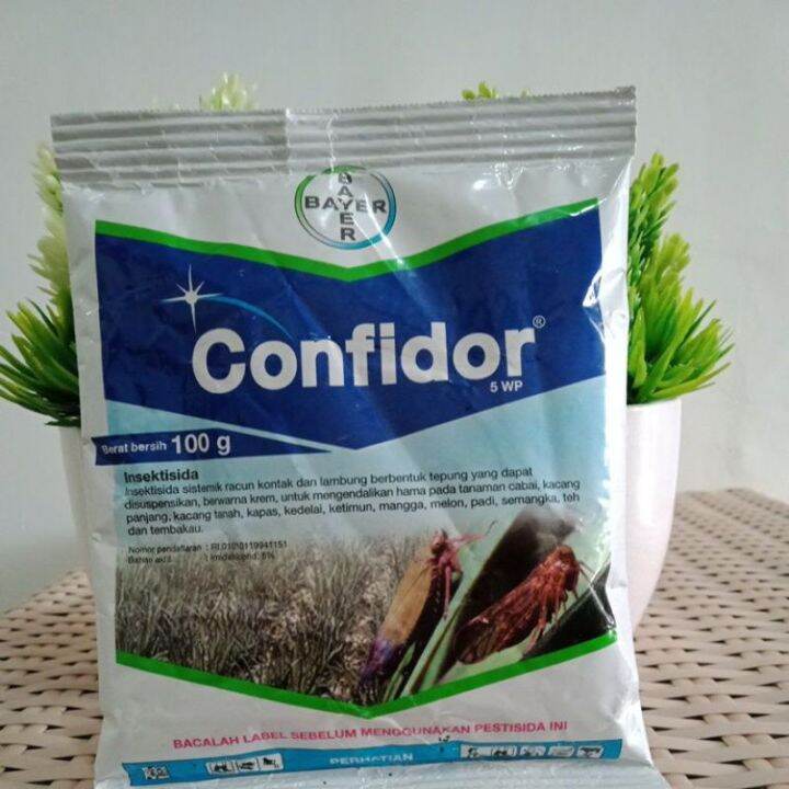 insektisida Confidor 5wp 100gram | Lazada Indonesia