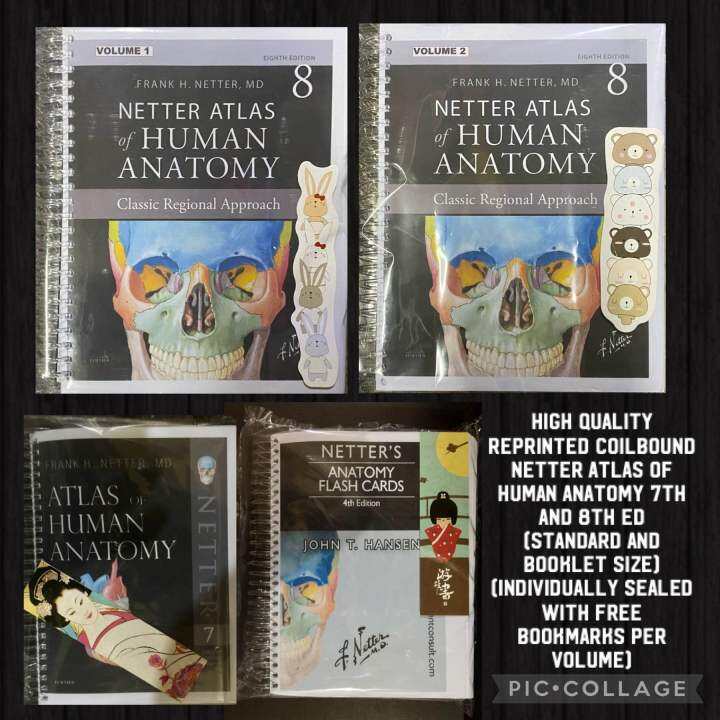 Netter’s Atlas of Human Netter’s Anatomy Flashcards Netter Anatomy ...