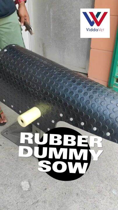 Dummy sow for pig/boar animal AI insemination Dummy sow Dummy sow for ...