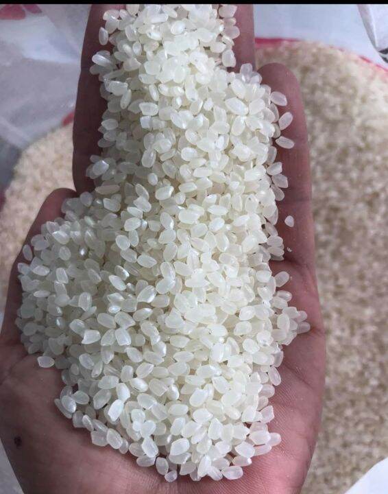 sakura Japanese rice 10kilos maputi masarap malambot from Japan | Lazada PH