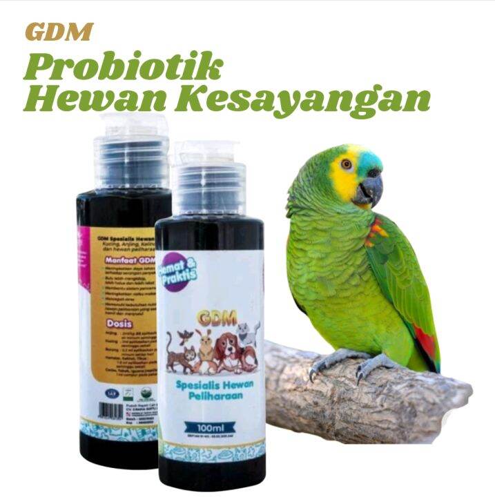 Probiotic Vitamin Hewan Peliharaan, GDM Bio Organic Liquid 100ml ...