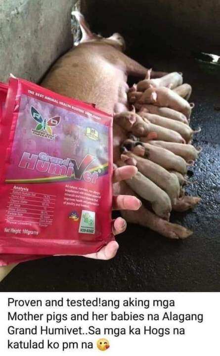 GRAND HUMIVET | Lazada PH