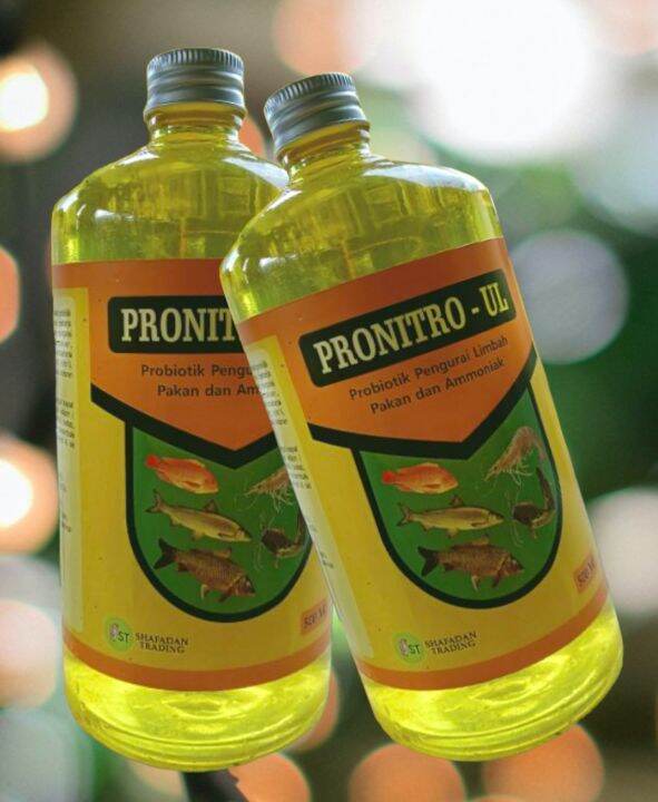 Probiotik Nitrobacter Nitrosomonas sp PRONITRO 500 utk Ikan Lele, Nila,Patin, Mas dan Ikan Hias ...