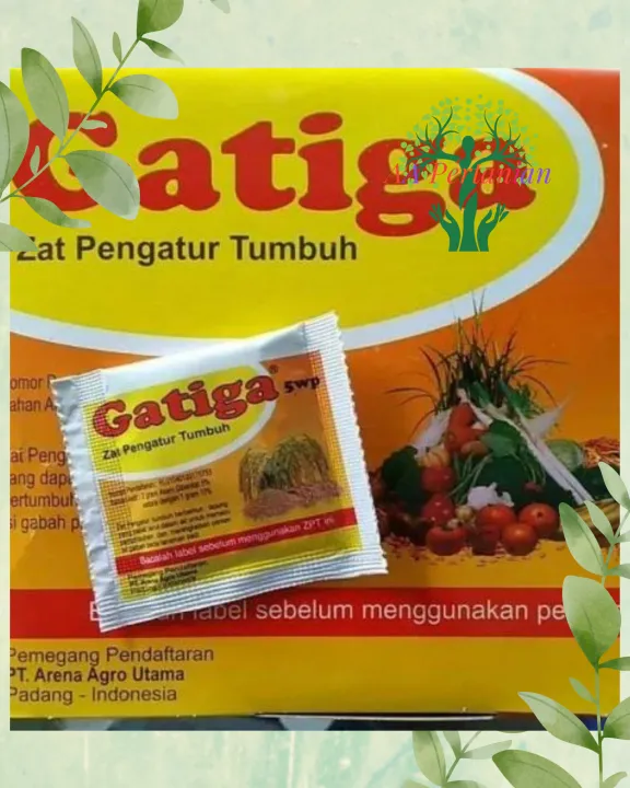 ZPT GA3 gatiga powder kemasan sachet | Lazada Indonesia