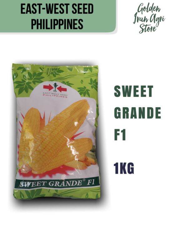 East West Sweet Grande F1 (1KG) | Lazada PH
