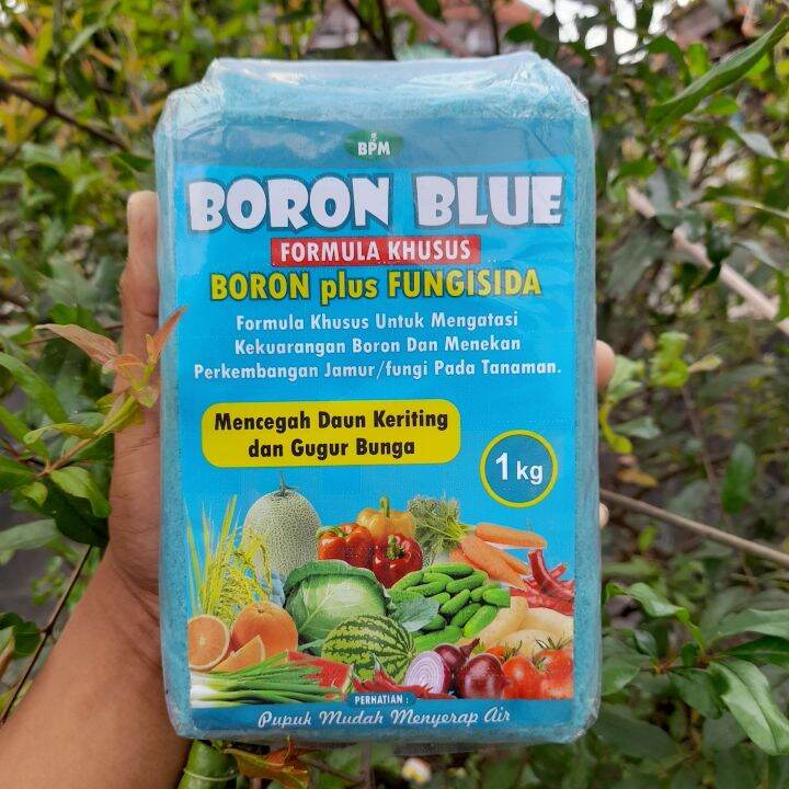 BORON BLUE 1 KG / FORMULA KHUSUS/ BORON plus FUNGISIDA/ Untuk Mencegah Daun Keriting Dan Gugur ...