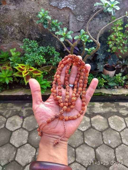 Paket tasbih + gelang biji bidara arab SIDR 1000% | ready kalimosodo ...