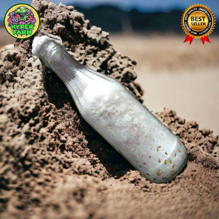 Bibit F1 Jamur Tiram Putih Kemasan Botol Kaca | Lazada Indonesia