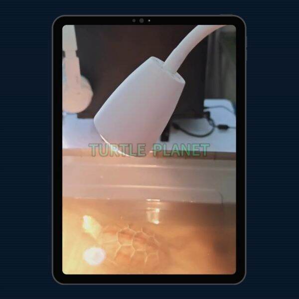 Turtle Basking Lamp Basking Light Heat Lamp UVA UVB 3.0 Reptiles Turtle ...