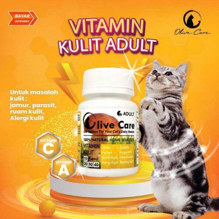 Olibe Care Vitamin Kucing Masalah Kulit Dewasa Bulu Rontok-Jamur-Kutu ...