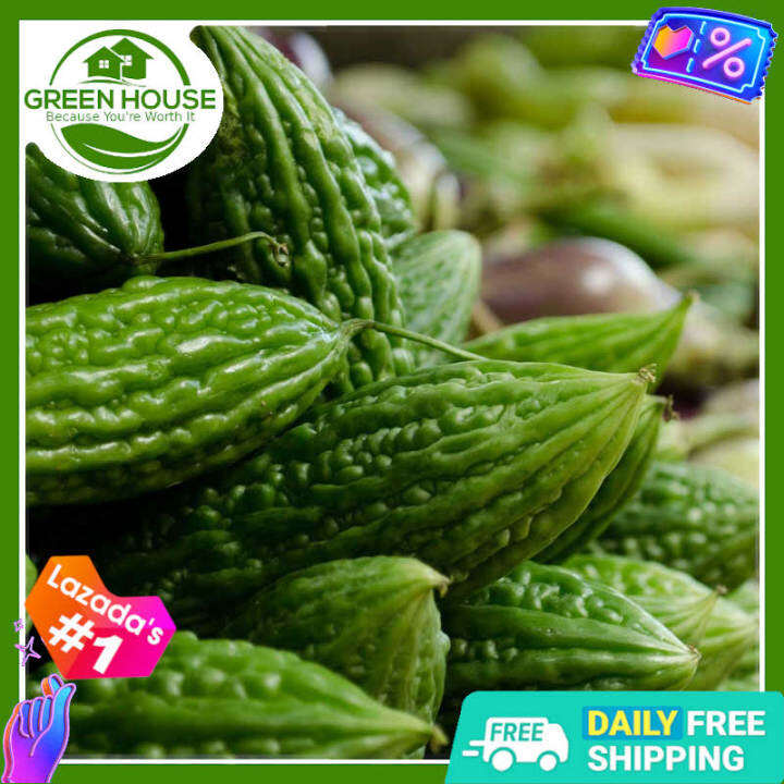 Green House - Ampalaya Seeds for Planting Vegetable Plants (7 Seed) + F ...