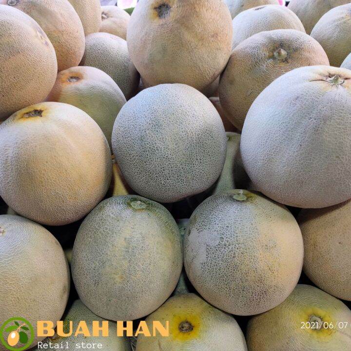 Melon madu | Lazada Indonesia