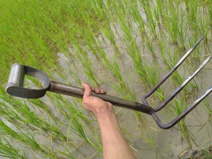 garpu tanah injak bahan per | Lazada Indonesia