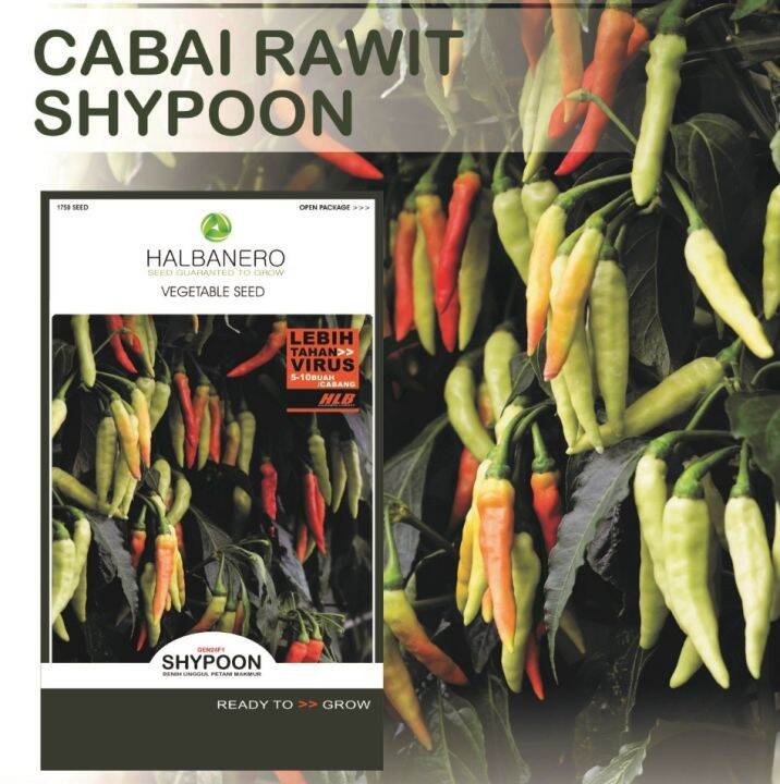 Benih cabe rawit berangkai Shypoon - Bibit Cabai Rawit Shipon | Lazada ...