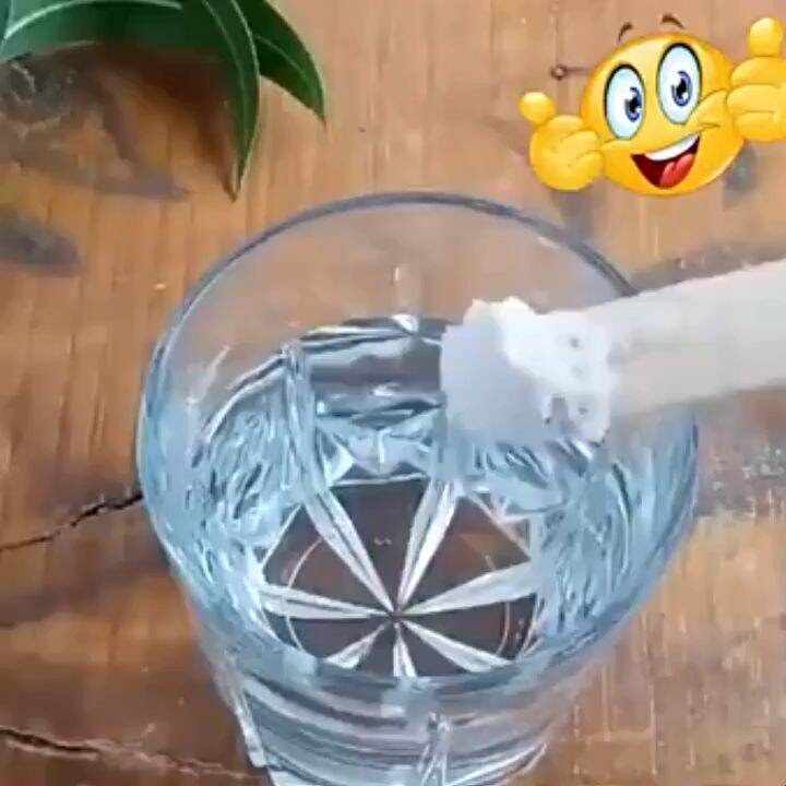 Rapid Rooting Powder Plant Fertilizer Succulent Cactus Plant Growth ...