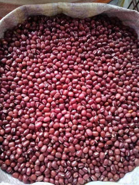 Red Munggo / Red Mung Beans Pure Munggo ( Available in 1kg / 500g ...