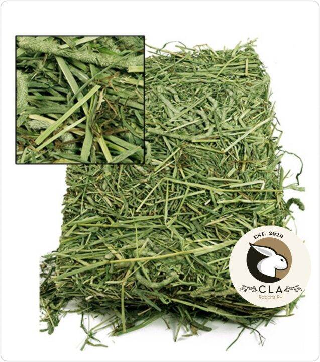 PREMIUM QUALITY Alfalfa Hay (long strand) | Lazada PH