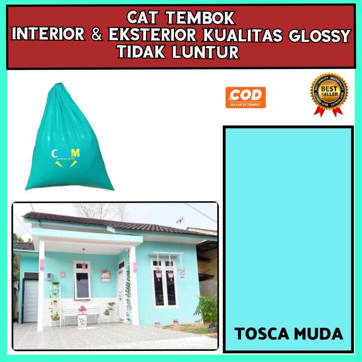 Cat minyak dinding tembok 1 kg / Cat glossy warna tosca muda / Cat ...