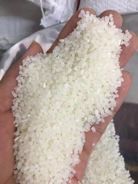 Gao Tam 1Kg | Lazada