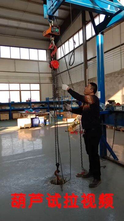 Chain Block 1Ton 2Tons with 3 meters chains Crane hoist Manual Heavy ...