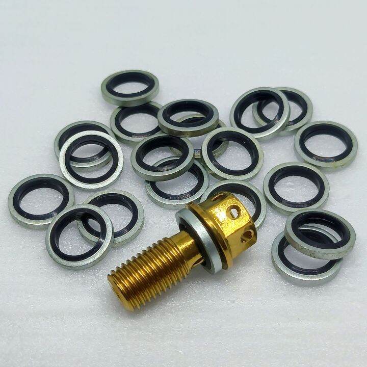 Universal Motorcycle 10mm Caliper Hose Banjo Bolt Sealing Washer (1Pc ...
