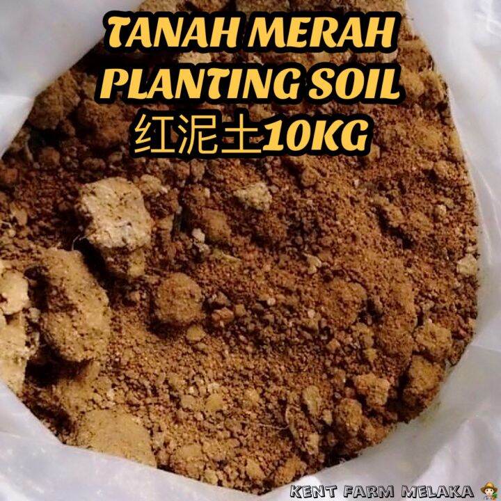 🇲🇾Ready Stock🇲🇾10kg Tanah Merah / Garden Soils / 种植用途红泥土 | Lazada