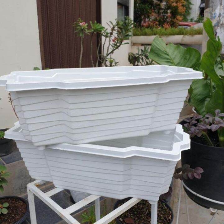 Pot segi panjang Ukuran 40/Pot monster panjang 40cm | Lazada Indonesia