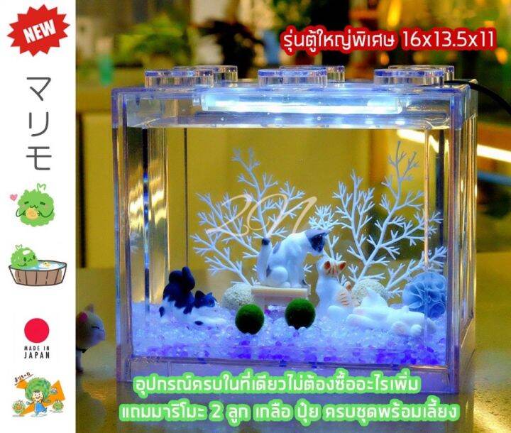 (พร้อมส่ง💯%) มาริโมะ Marimo Set XXL ตู้เหลี่ยมJUMBO มีไฟLED แถมฟรีอุปกรณ์ครบชุดพร้อมเลี้ยง ตู้ ...