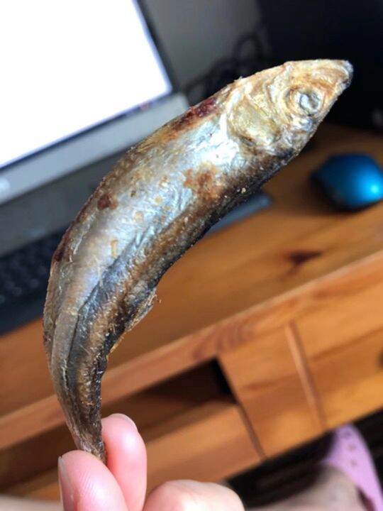 Pie Chef Low-Fat Air-Dried Rabbit Jerky Rabbit Cod Cake Freeze-Dried ...