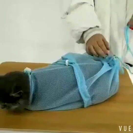 【Dargly】ถุงอาบน้ำแมว ป้องกันแมวข่วน ถุงกันข่วน ถุงตะข่ายอาบน้ำแมว อเนกประสงค์ แคะหูแมว ตัดเล็บ ...