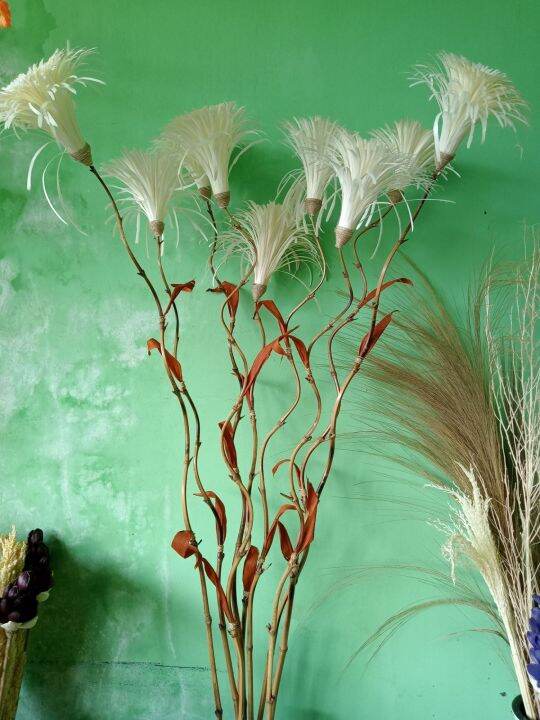 5 bambu ulir bunga SERUT KAYU | Lazada Indonesia