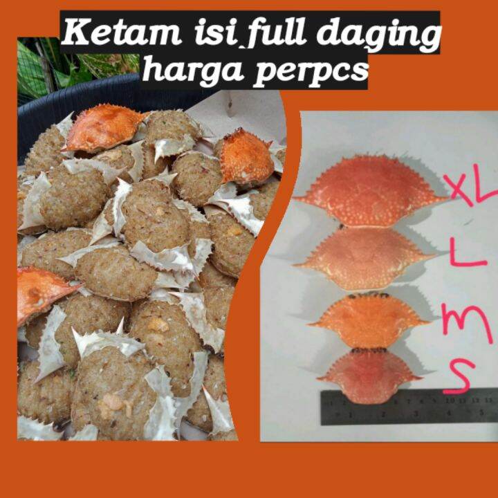 ketam isi full daging rajungan ukuran L | Lazada Indonesia