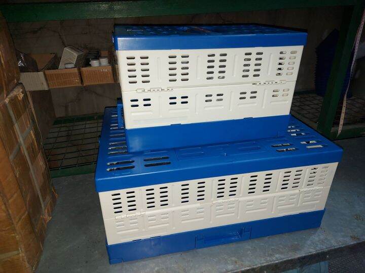 TAIWAN TRAINING BOX BLUE 12 TO 15 CAPS | Lazada PH