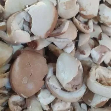 picung Pucung muda sayur Pucung fresh 1kg | Lazada Indonesia