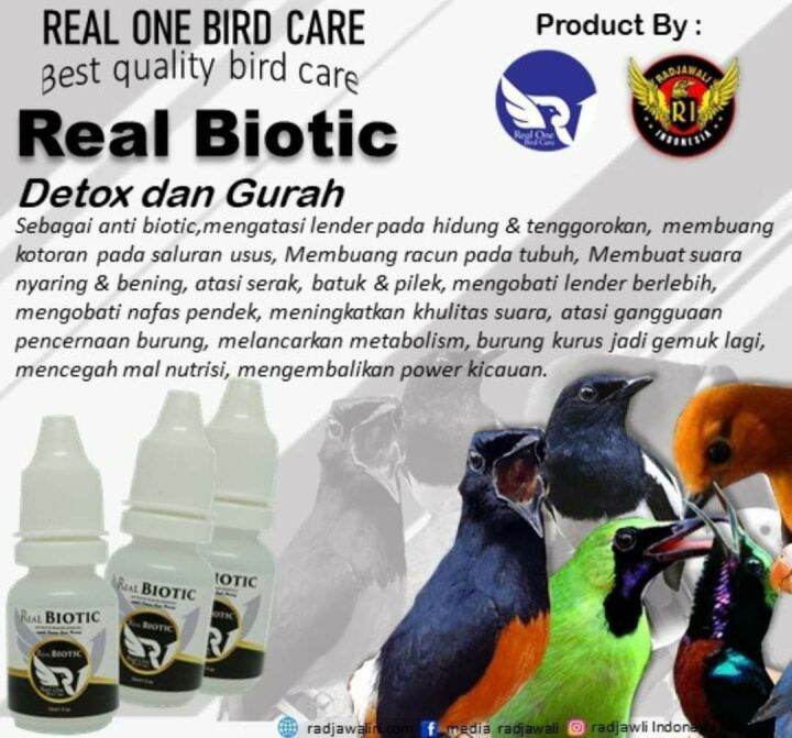 REAL BIOTIC Rajawali Indonesia Obat Detox Membuang racun dalam tubuh ...