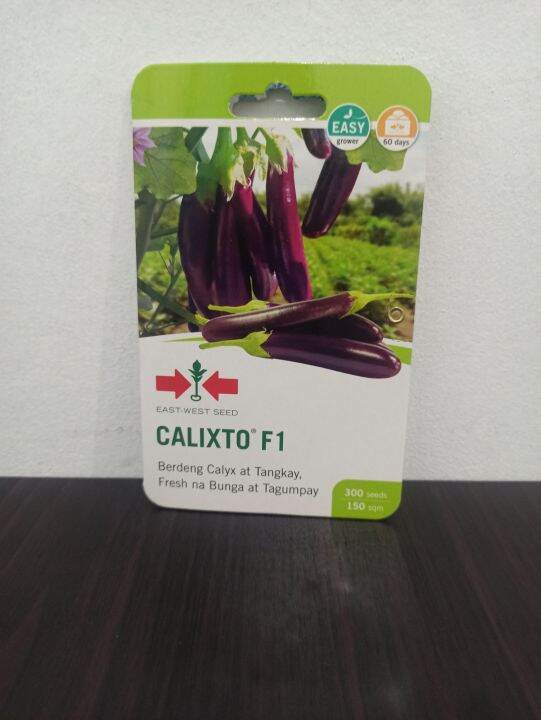CALIXTO F1(300 SEEDS) HYBRID EGGPLANT SEEDS EAST WEST SEED | Lazada PH