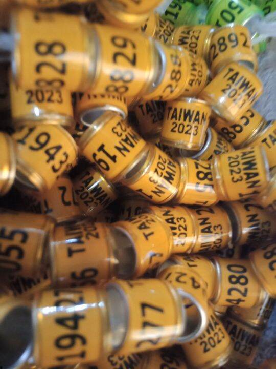 Pigeon Ring 2023 (TAIWAN 10 pcs )(GB 10 pcs) | Lazada PH