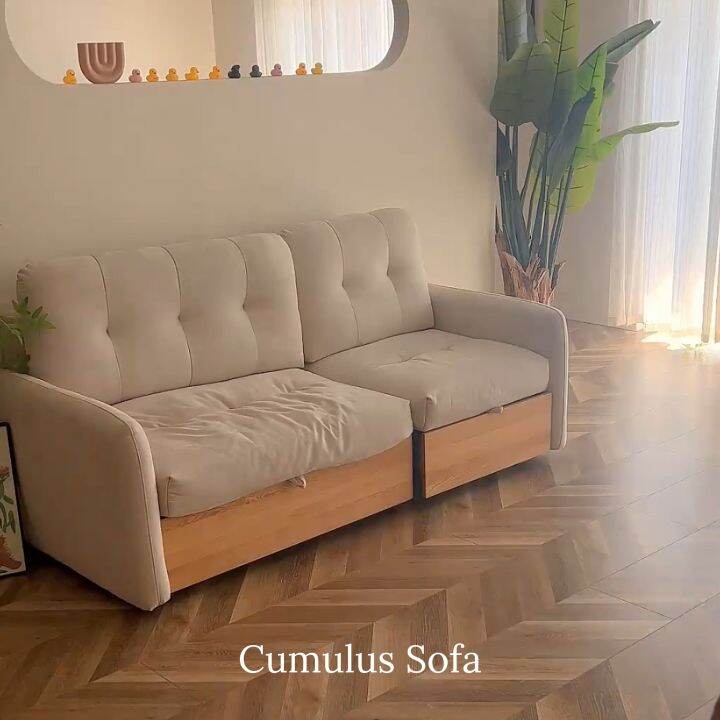 Cozylant Cumulus Extendable Sofa/Sofa Bed for Living Room / White, Green / Storage Sofa / Multi ...