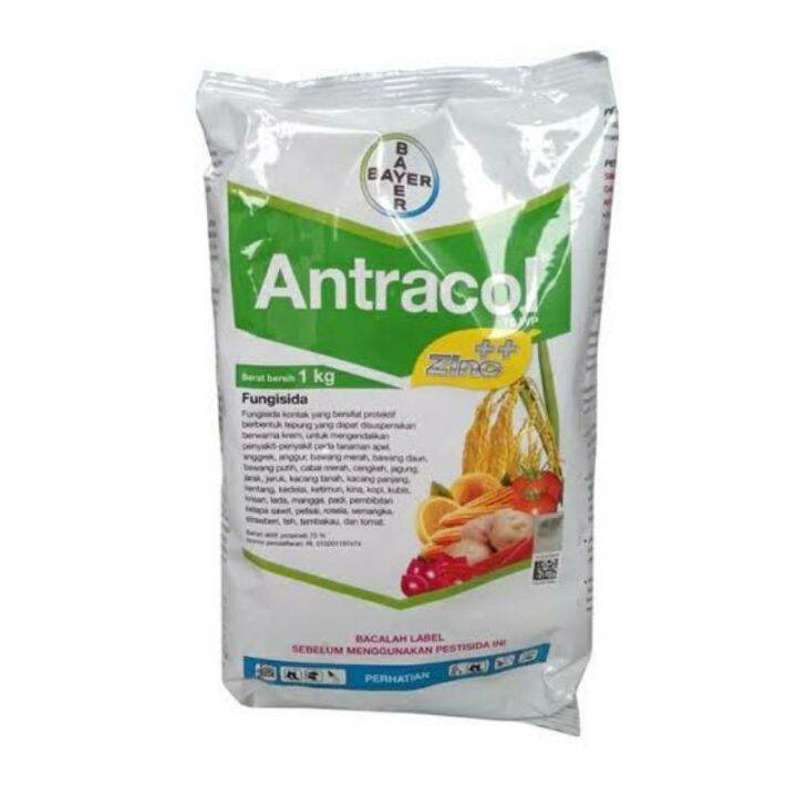 Antracol 1kg | Lazada Indonesia