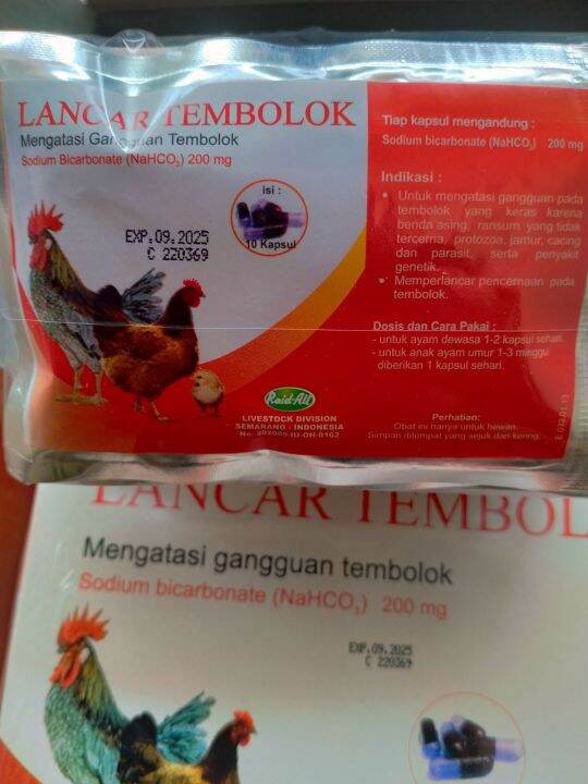 lancar tembolok Raid all sachet | Lazada Indonesia