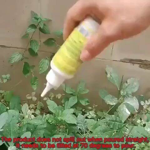 100% Effective Termite Killer Termites Killer Solution Odorless Termite ...