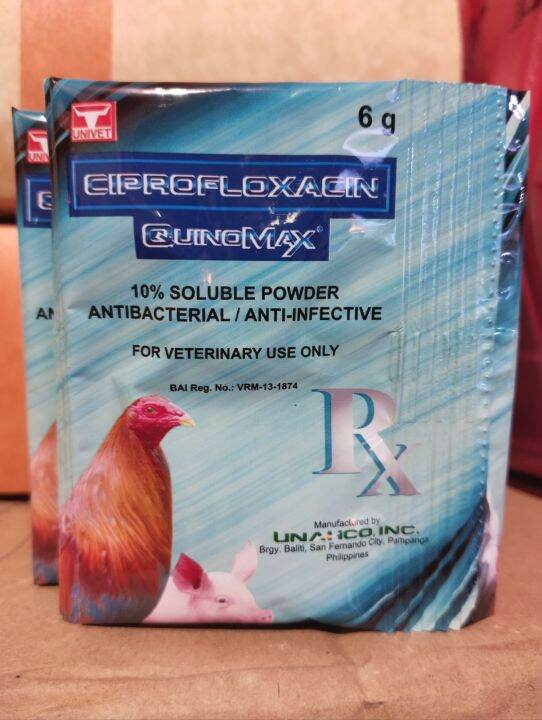 Quinomax 6g Soluble Powder -1sachet | Lazada PH