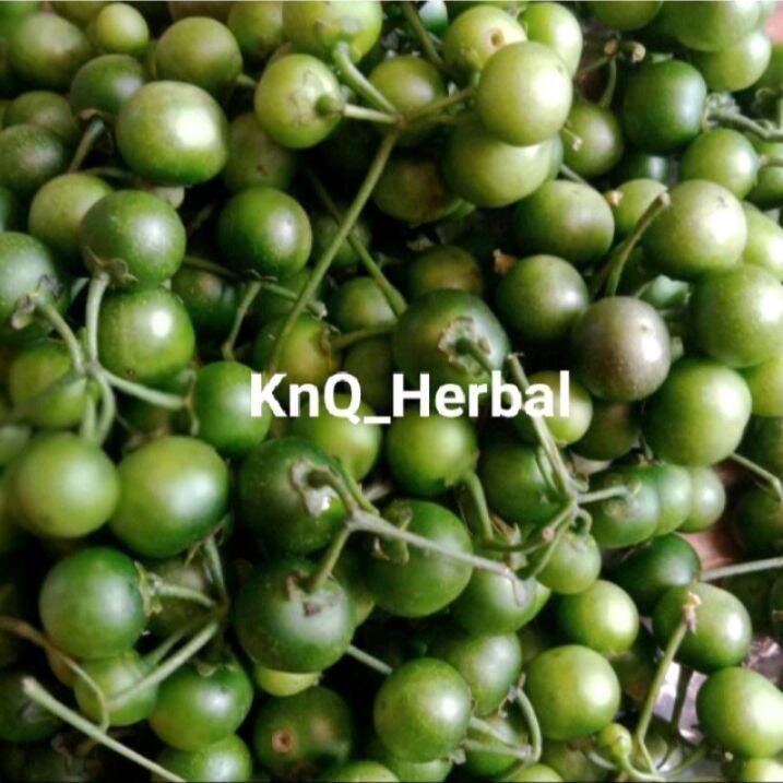 Leunca Rimpang Asli Segar 1kg Buah Ranti Leunca Super | Lazada Indonesia