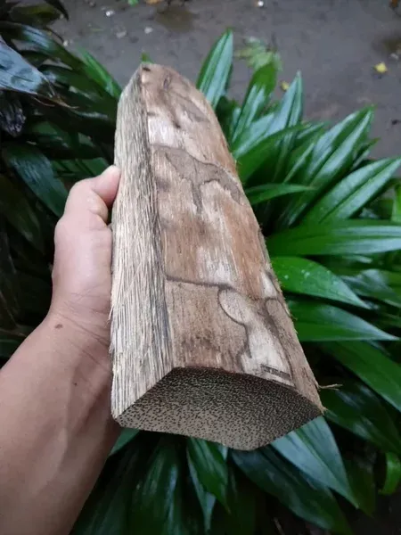 belahan kayu ruyung aren super kuat untuk bahan kerajinan lainnya ...