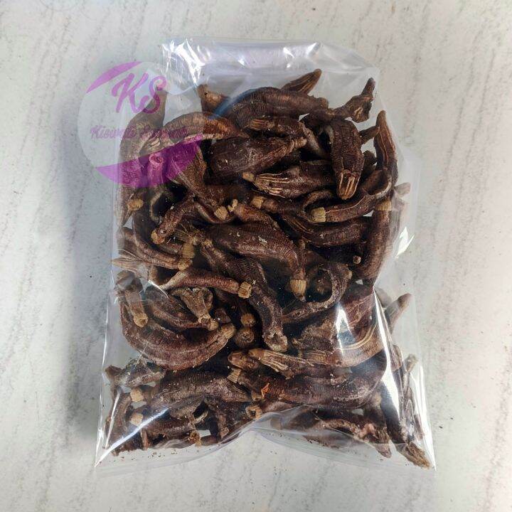 TERIPANG LAUT ORIGINAL 100 gram RENYAH GURIH | Oleh Oleh Surabaya ...