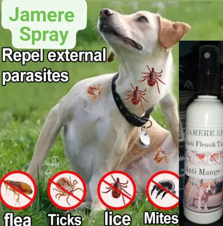 spray for ticks and fleas JAMERE SPRAY 100ML | Lazada PH