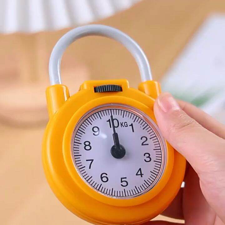 Rising Star Multifunctional 10kg Portable Scale Spring Hanging Scale ...